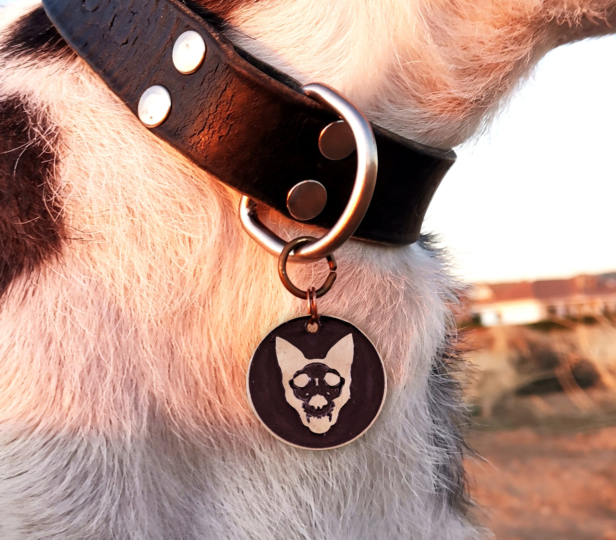 Pet tag skull dog Personalized tag with name and phone | Etsy