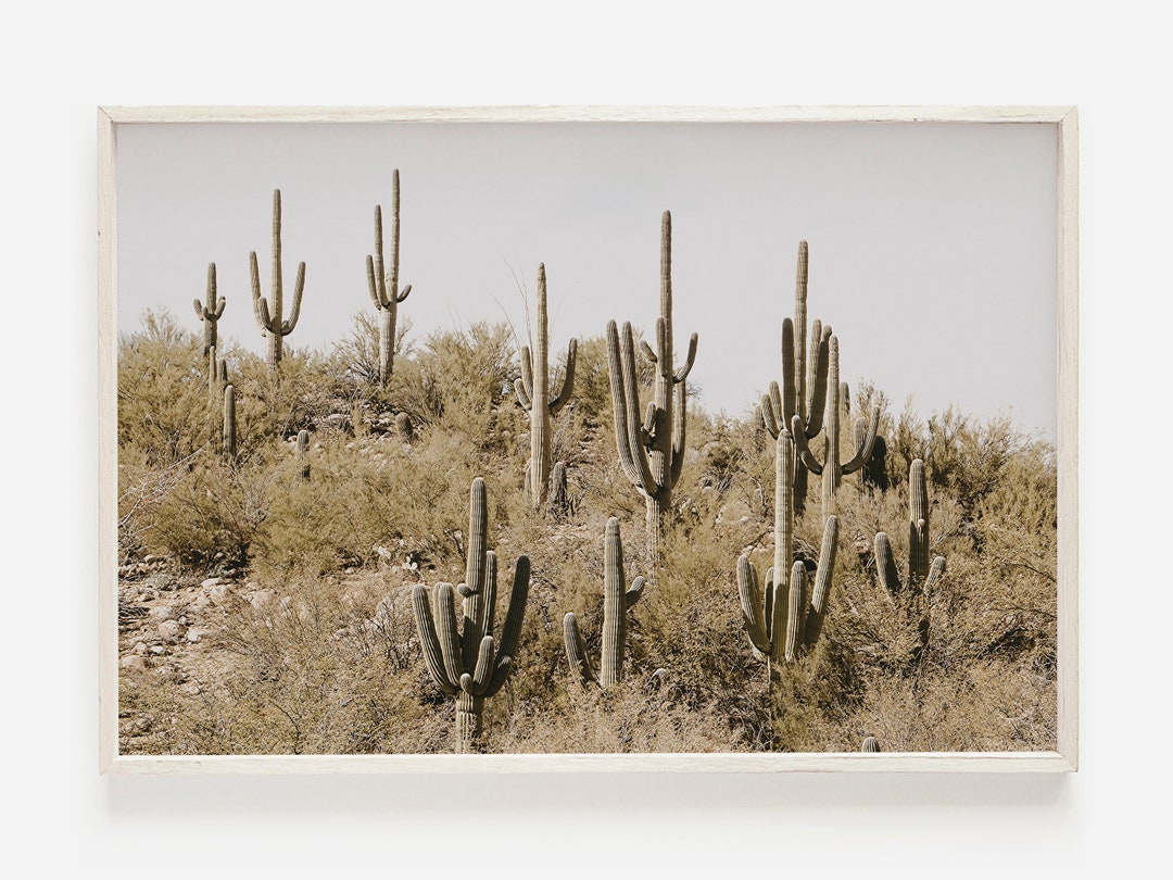 Saguaro Landscape Art, Tucson Printable, Arizona Desert Decor, Saguaro ...