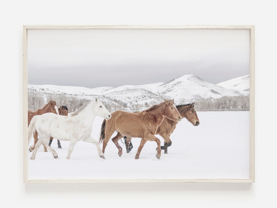 Snowy Horse Scene, Horse Photography, Winter Horse Print, Horse Decor ...