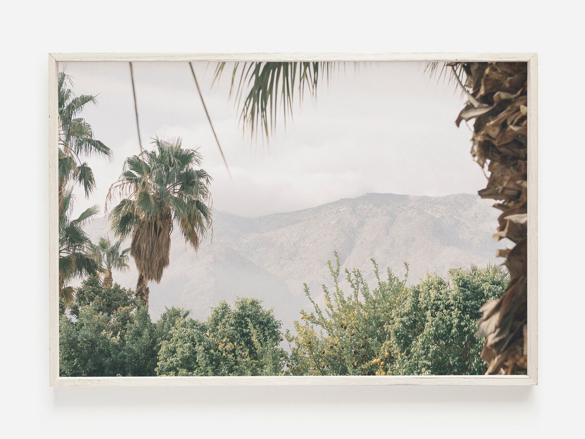 Palm Springs Scenery, California Desert Print, Desert Palms Wall Art ...