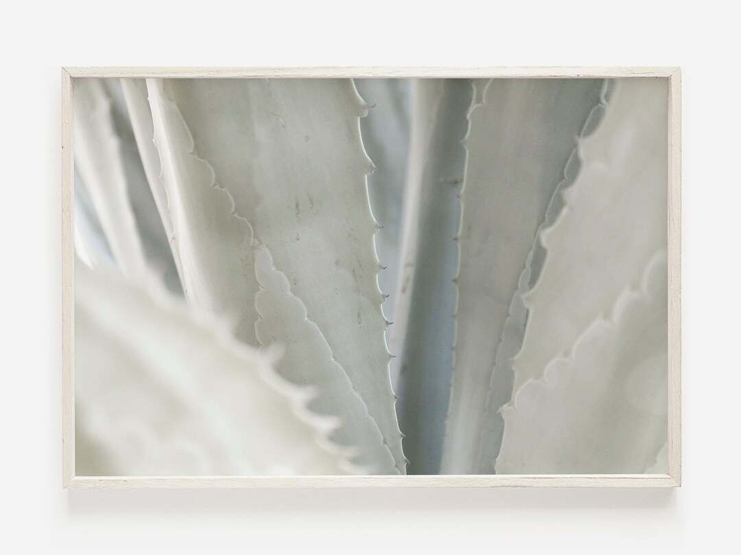 Aloe Vera Printable, Succulent Wall Art, Cactus Print, Boho Home Decor ...