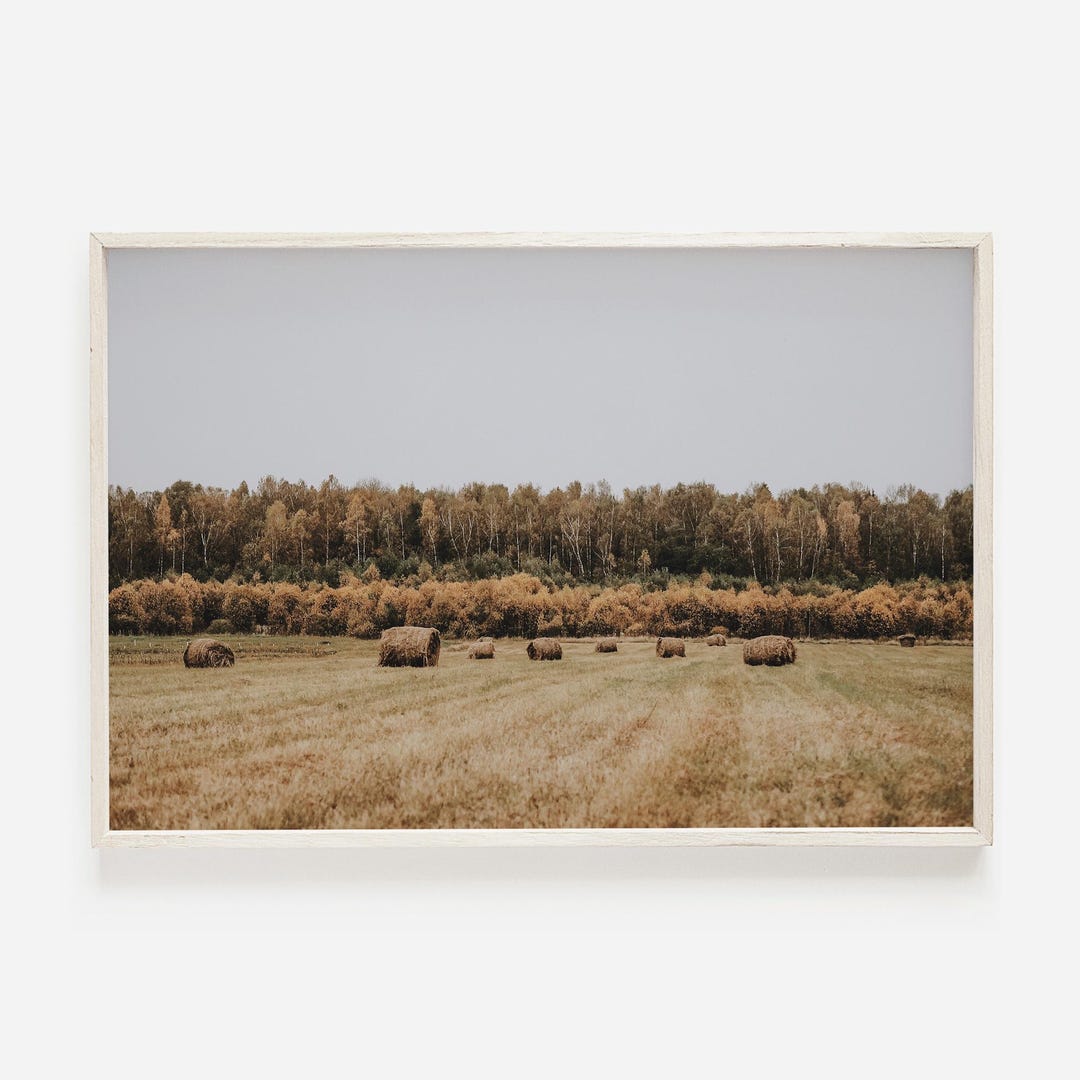 Fall Hay Field Wall Art, Rustic Home Decor, Farm Photography, Nature ...