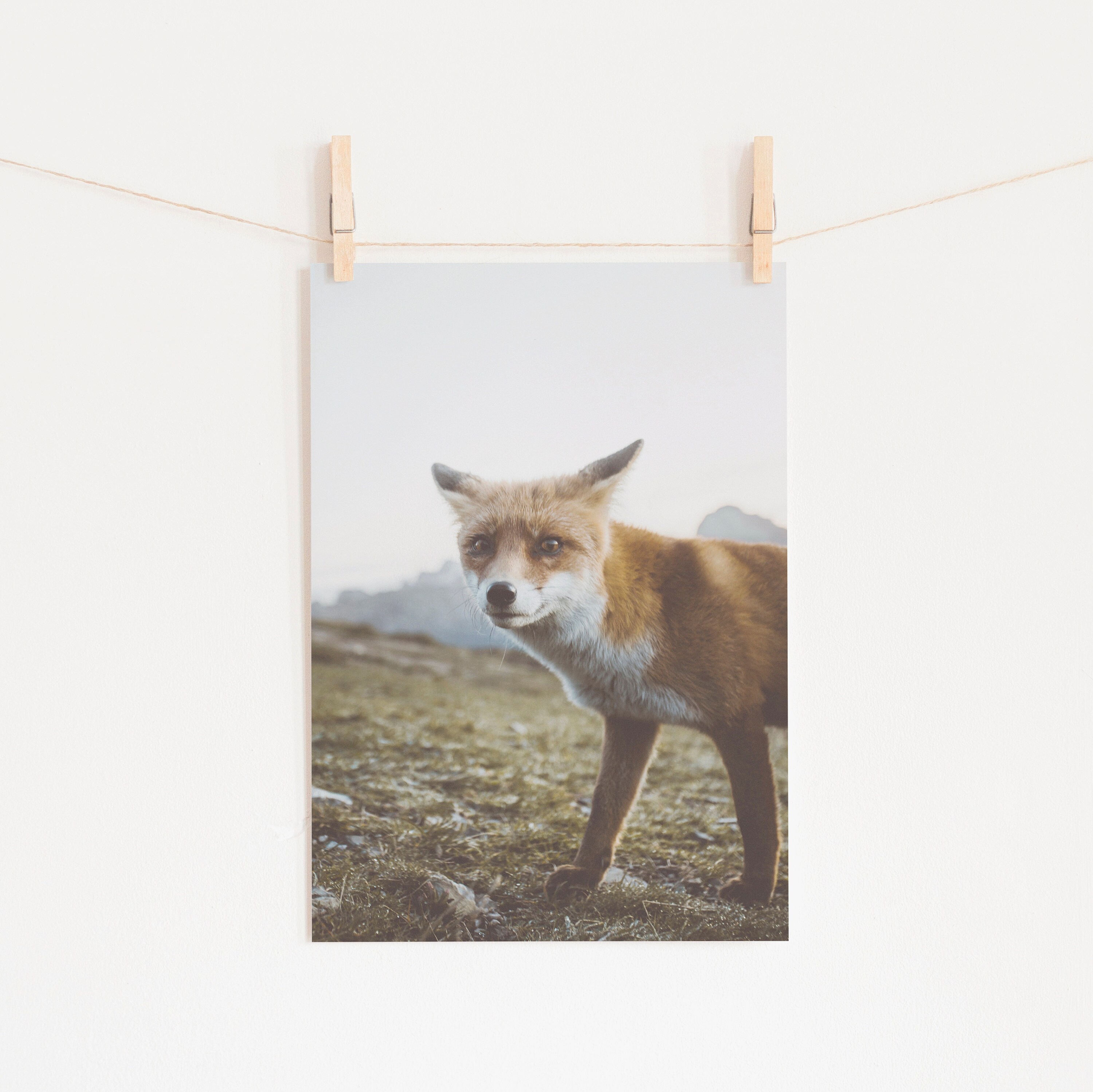 Fox Wall Art Printable Fox Poster Pacific Northwest Rustic - Etsy