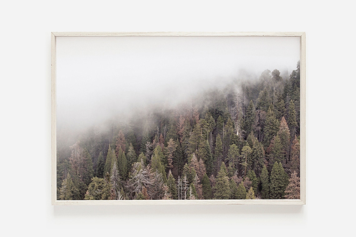 Foggy Forest Art, Nature Photography, Mountain Wall Art, Woodland ...