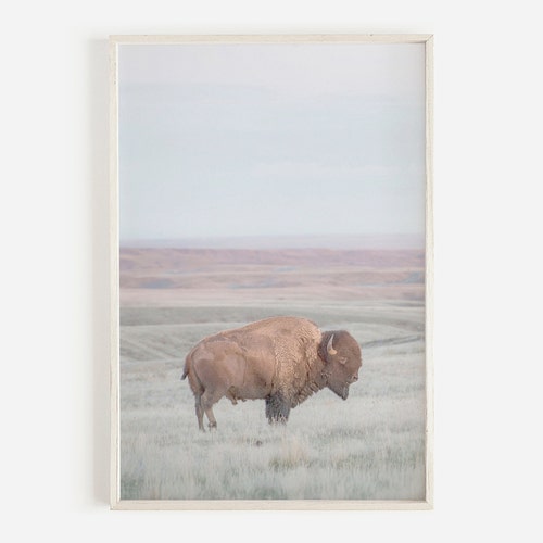 Printable Bison Wall Art Buffalo Print Western Prints Bison | Etsy