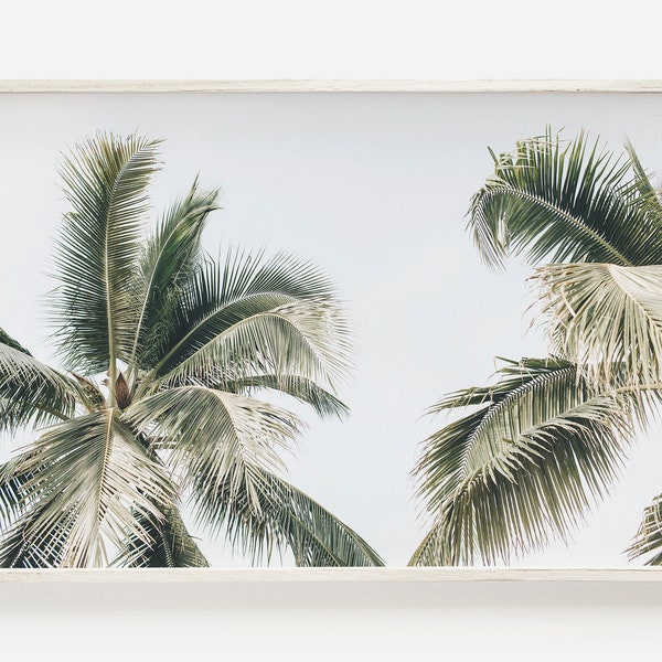 California Palms Etsy