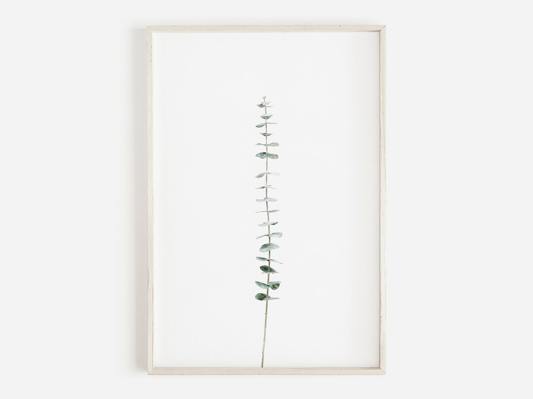 Modern Farmhouse Eucalyptus, Botanical Wall Art, Eucalyptus Poster ...