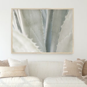 Aloe Vera Printable, Succulent Wall Art, Cactus Print, Boho Home Decor ...