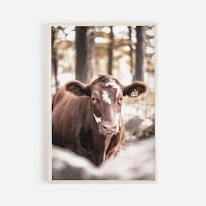Autumn Cow Portrait Print, Western Home Decor, Rustic Farmhouse Print ...