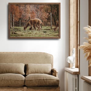 Autumn Alpaca Print, Fuzzy Alpaca Poster, Rustic Farm Animals, Alpaca ...
