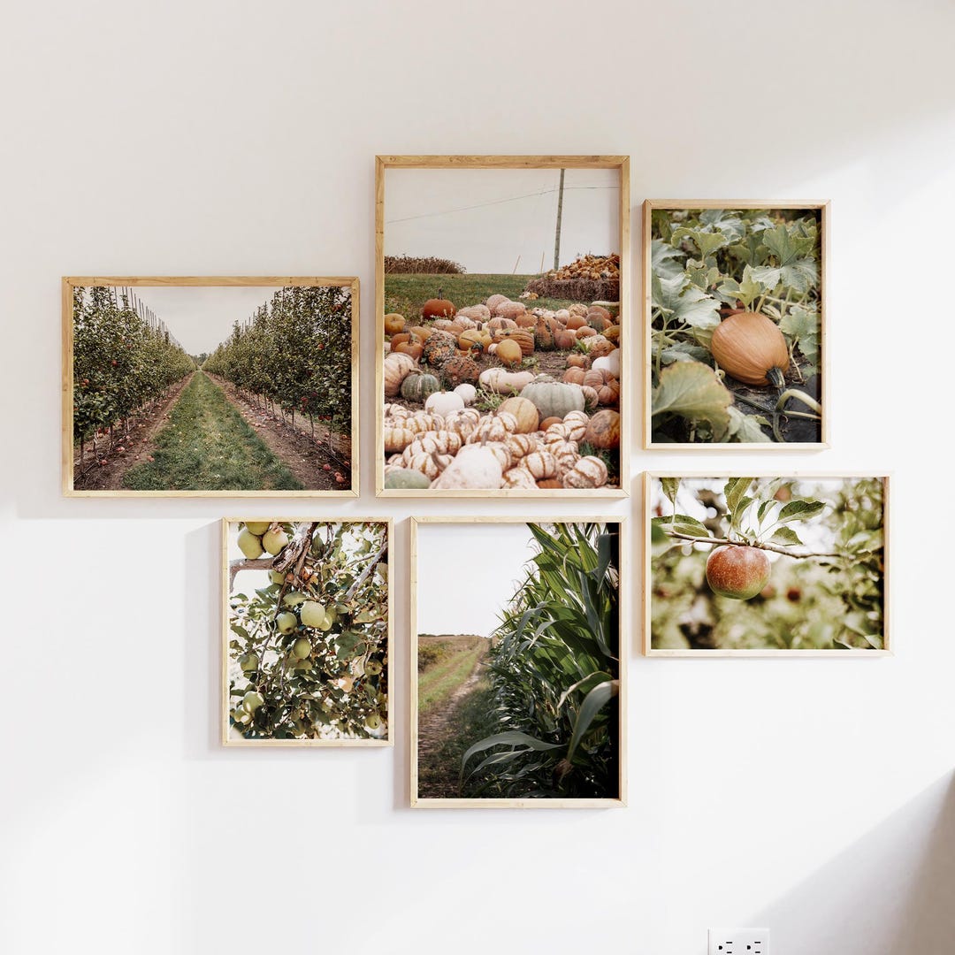 Farmhouse Fall Harvest Print Set of 6, Kitchen Gallery Wall, Pumpkin ...