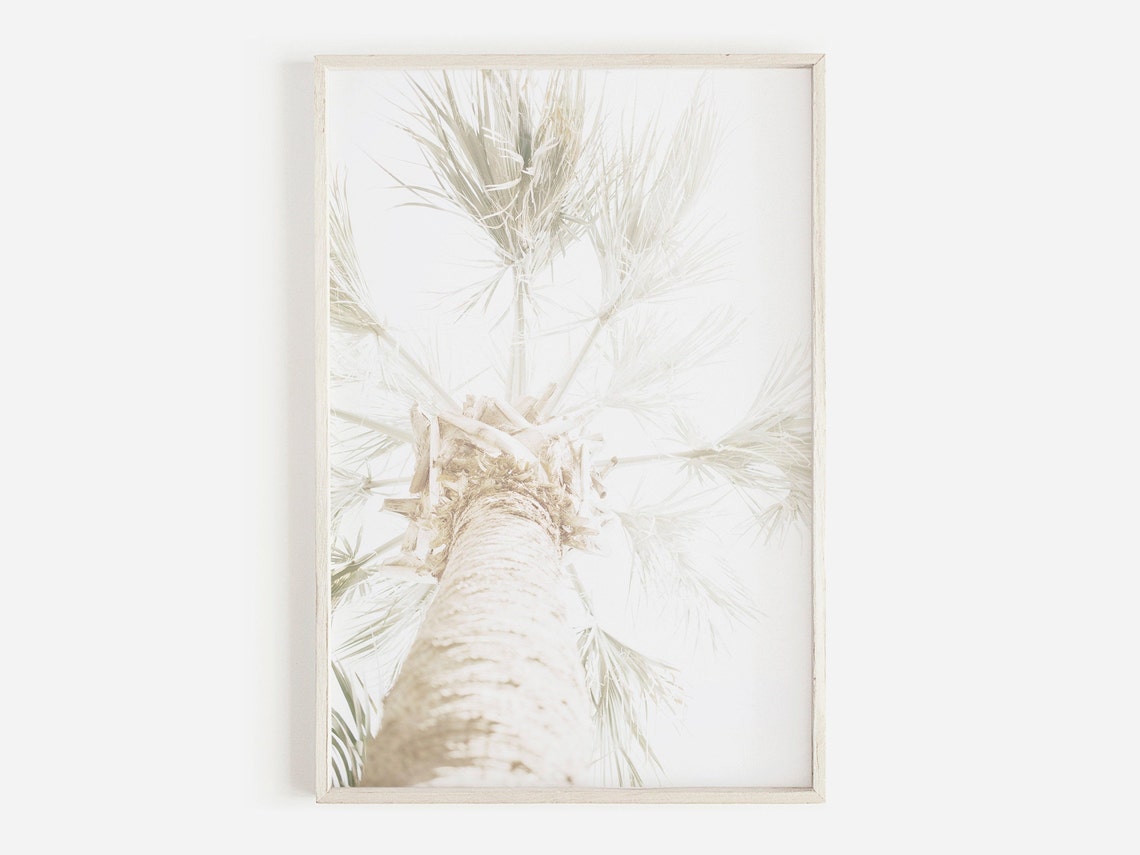 Bright Palm Tree Print Neutral Beach Decor Vintage Palm Tree - Etsy