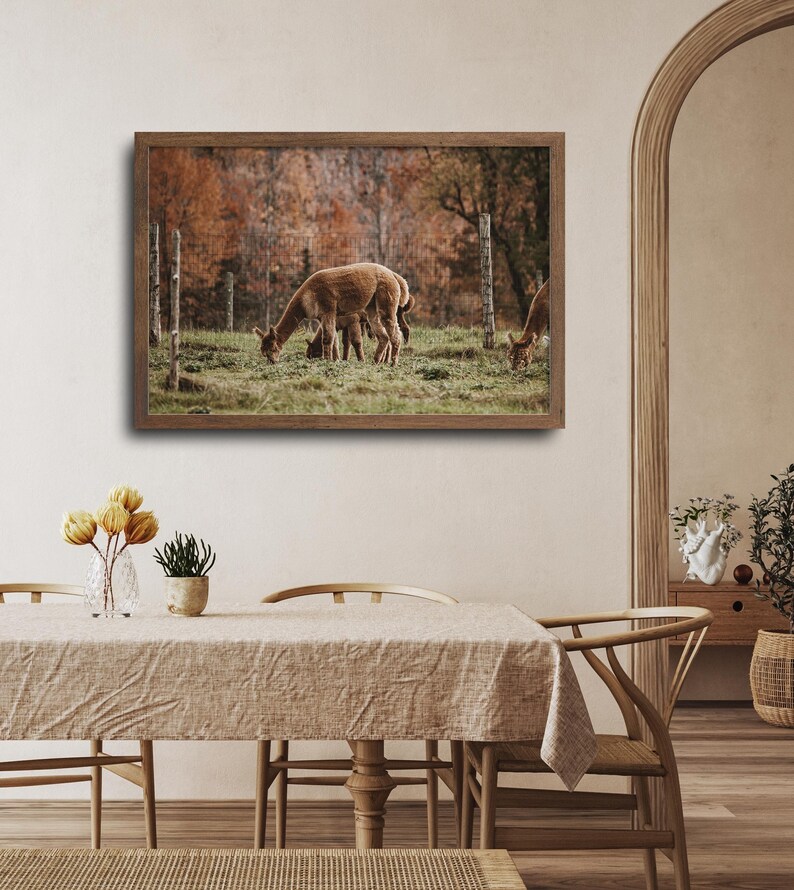 Autumn Alpaca Print, Fuzzy Alpaca Poster, Rustic Farm Animals, Alpaca ...