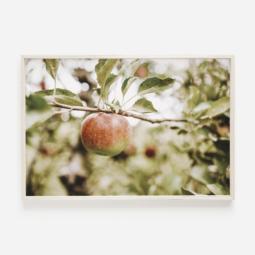 Apple on Tree Wall Art, Autumn Orchard Poster, Apple Farm Photography ...