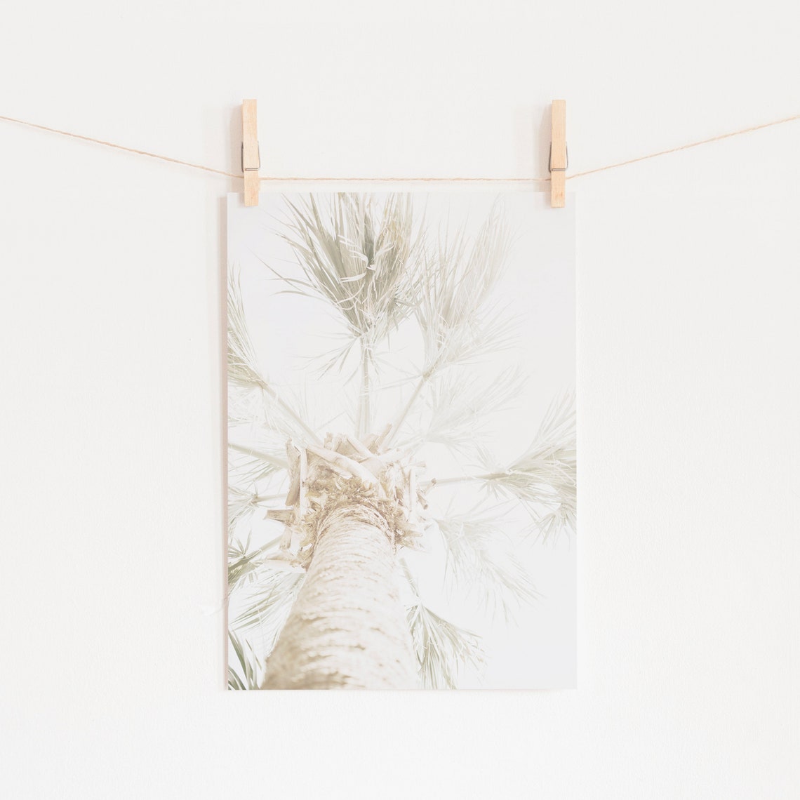 Bright Palm Tree Print Neutral Beach Decor Vintage Palm Tree - Etsy