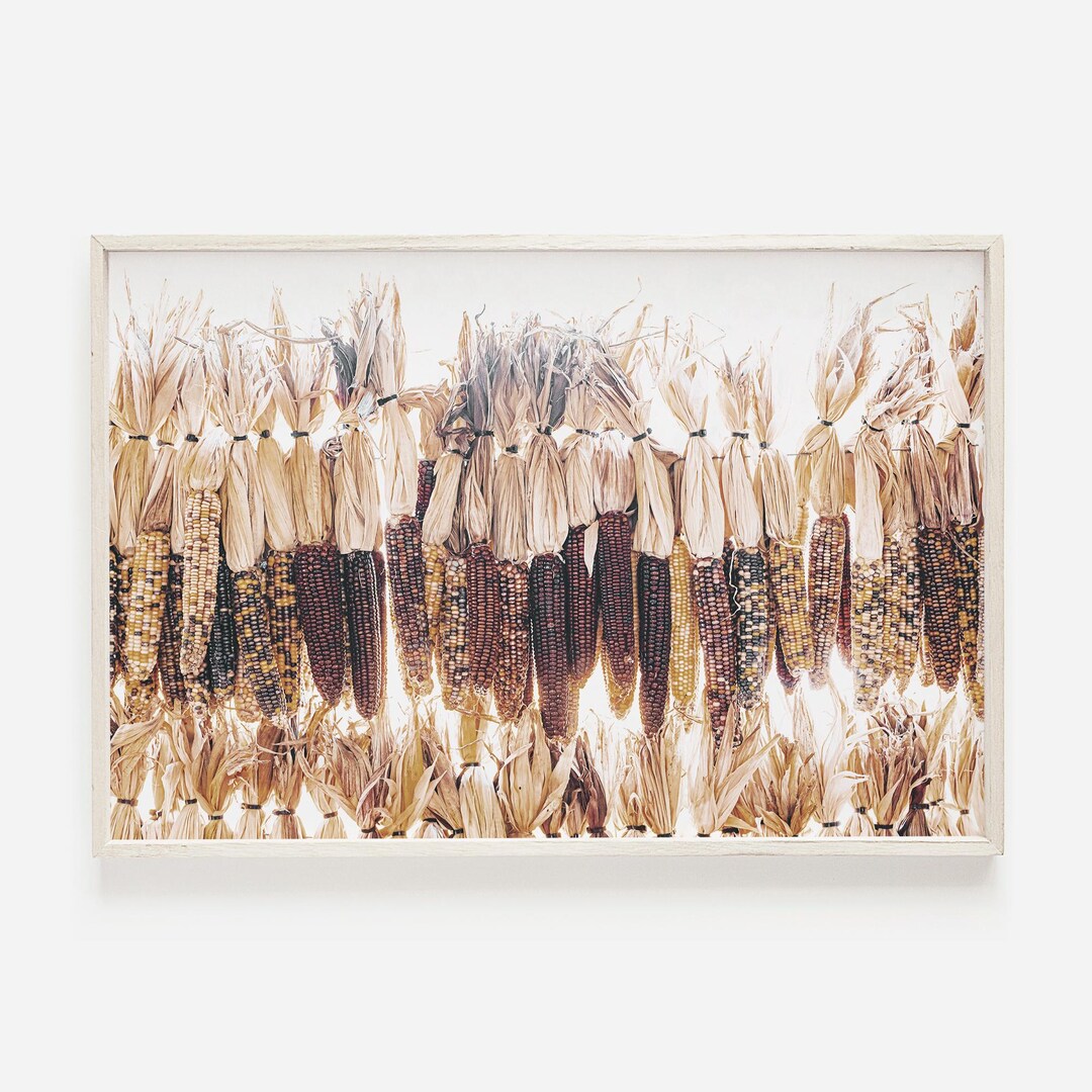 Dried Corn Wall Art, Rustic Farmhouse Decor, Corn Harvest Poster ...
