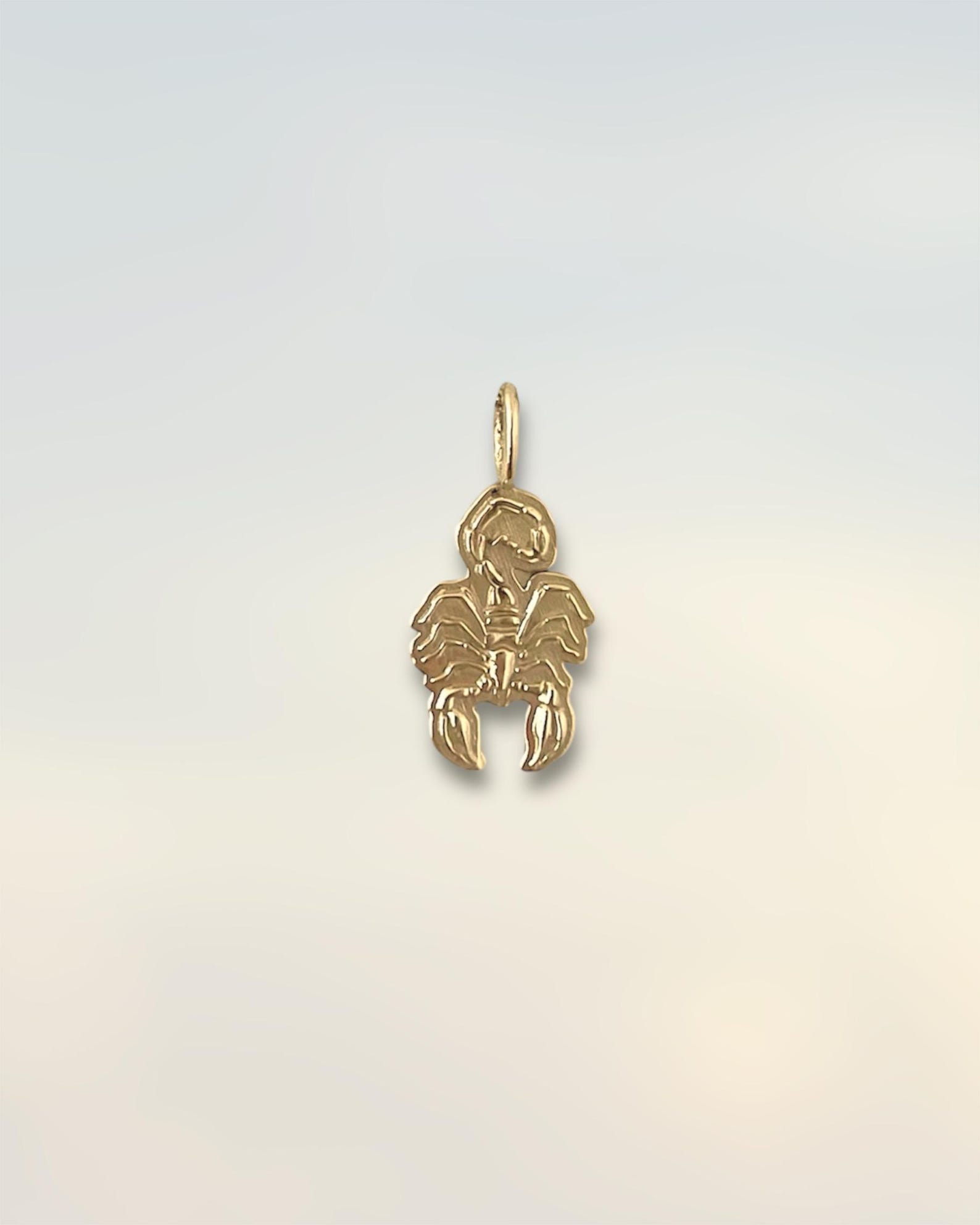 Scorpion Charm in 14k, 10k Gold and Sterling Silver - Etsy