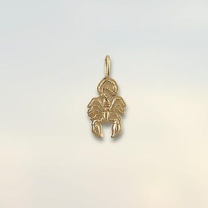 Scorpion Charm in 14k, 10k Gold and Sterling Silver - Etsy