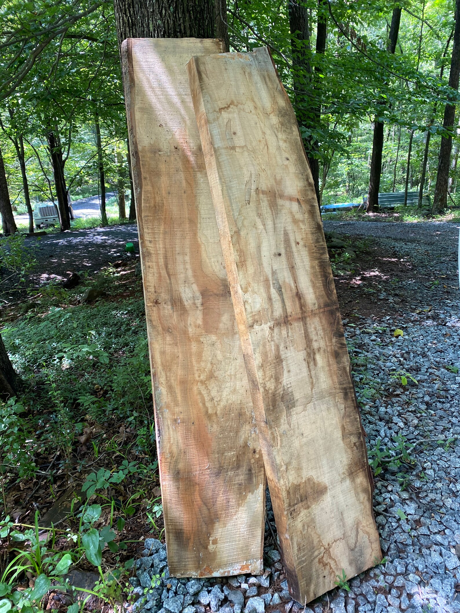 Figured maple slabs | Etsy