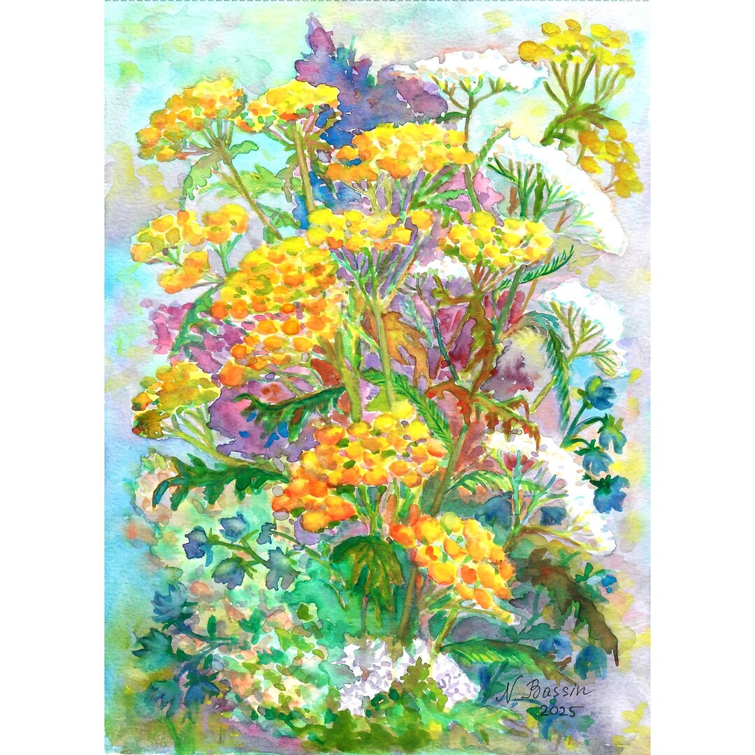Tansy & Yarrow Watercolor Painting: Original Floral Wall Art (11.3" X 8 ...