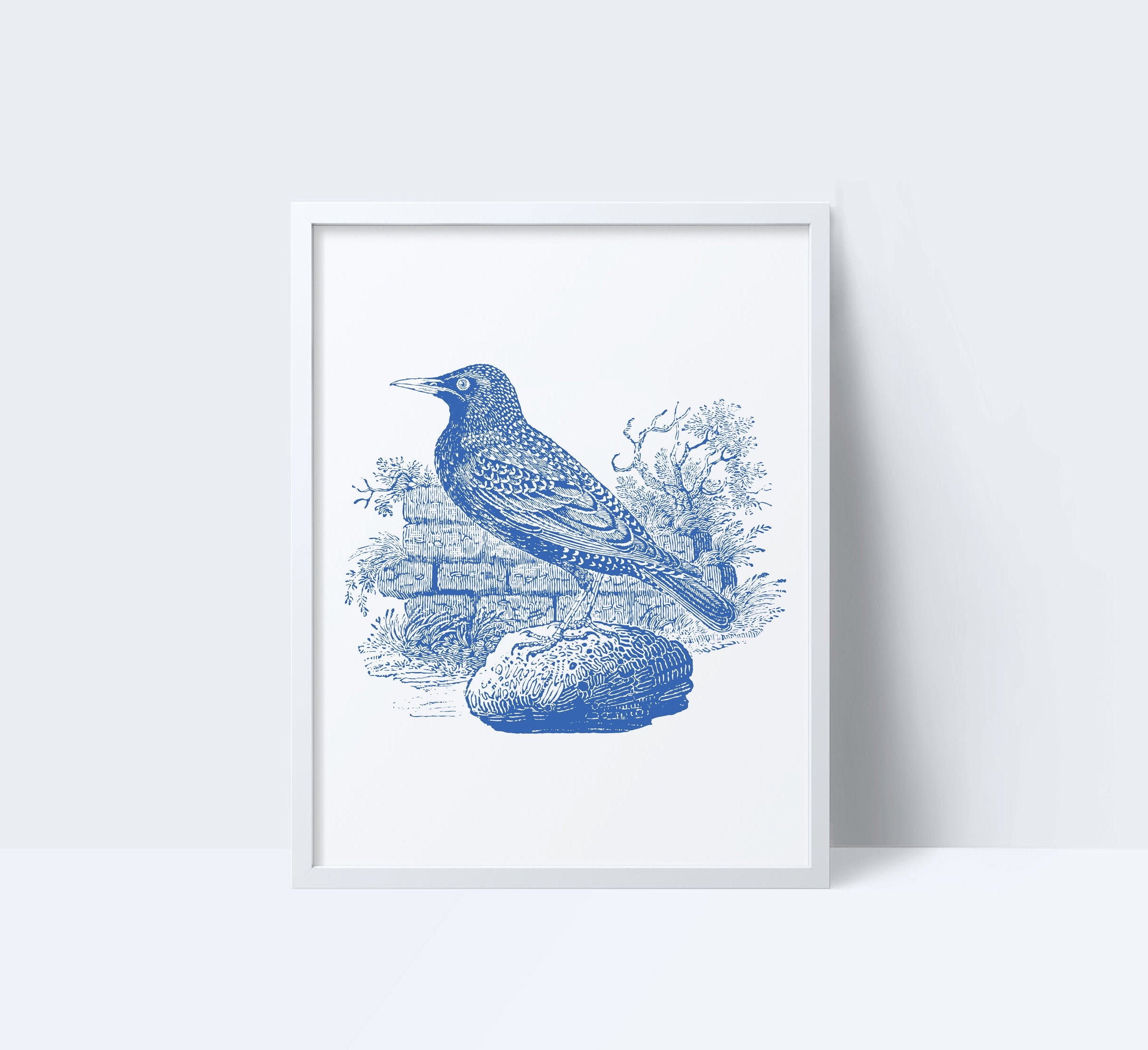 Digital Starling Art Print Bird Illustration Perched Bird | Etsy