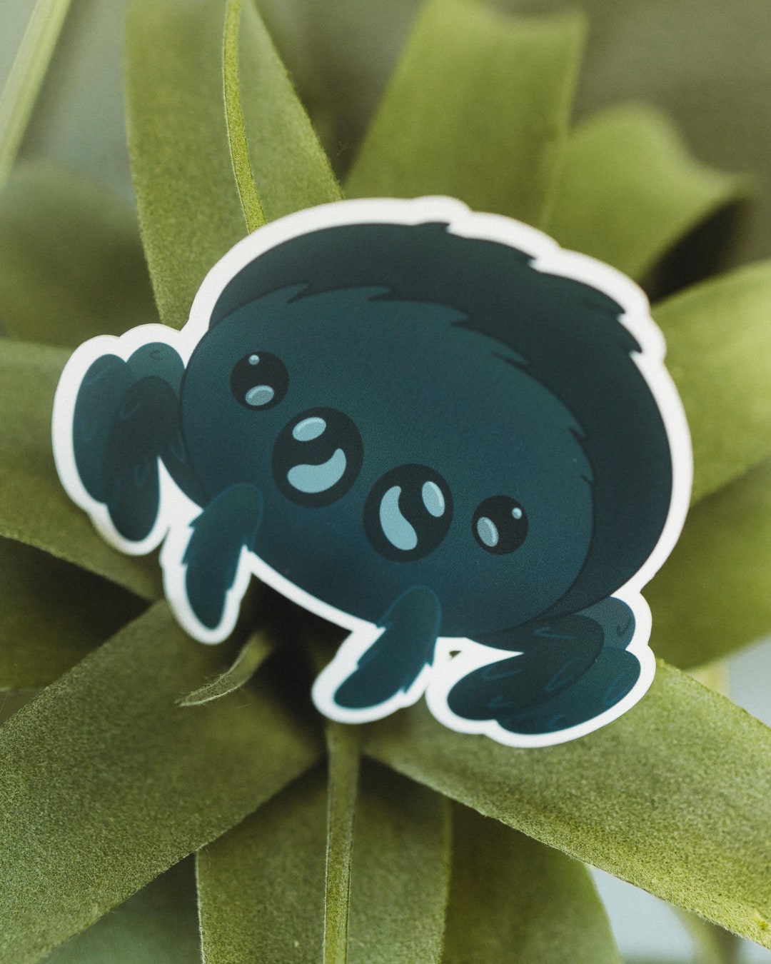 Jumping Spider Matte Vinyl Sticker Water Resistant - Etsy