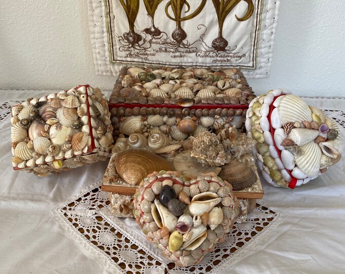Individual Seashell Boxes - Etsy