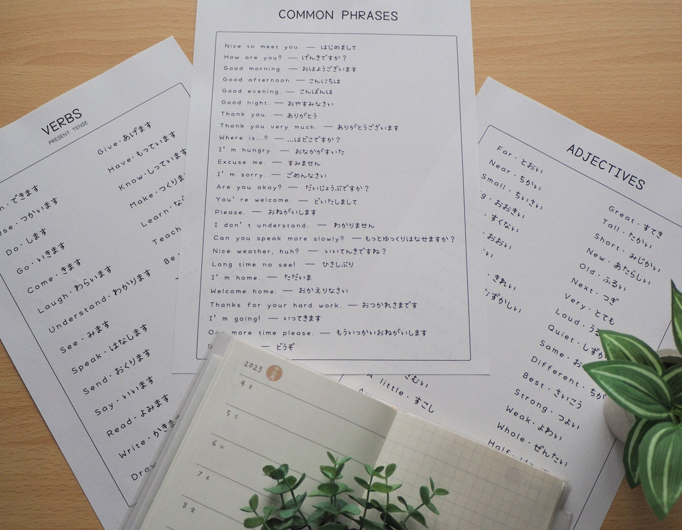 Learn Japanese Language Set Vocabulary Nouns Adjectives - Etsy