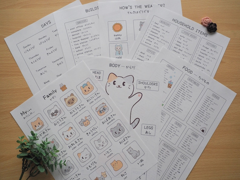 Learn Japanese Language Set Vocabulary Nouns Adjectives - Etsy