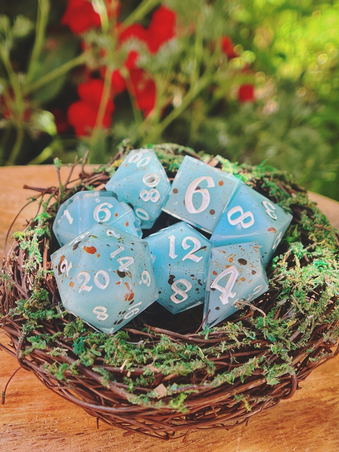 Druid Robins Egg DND Dice Set in Nest - Etsy