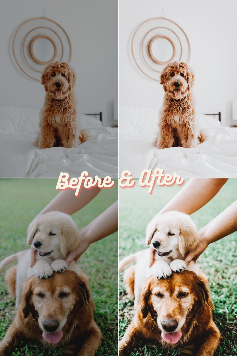 7 Dog Blogger Pets Instagram Mobile Lightroom Presets, Dog Photo ...