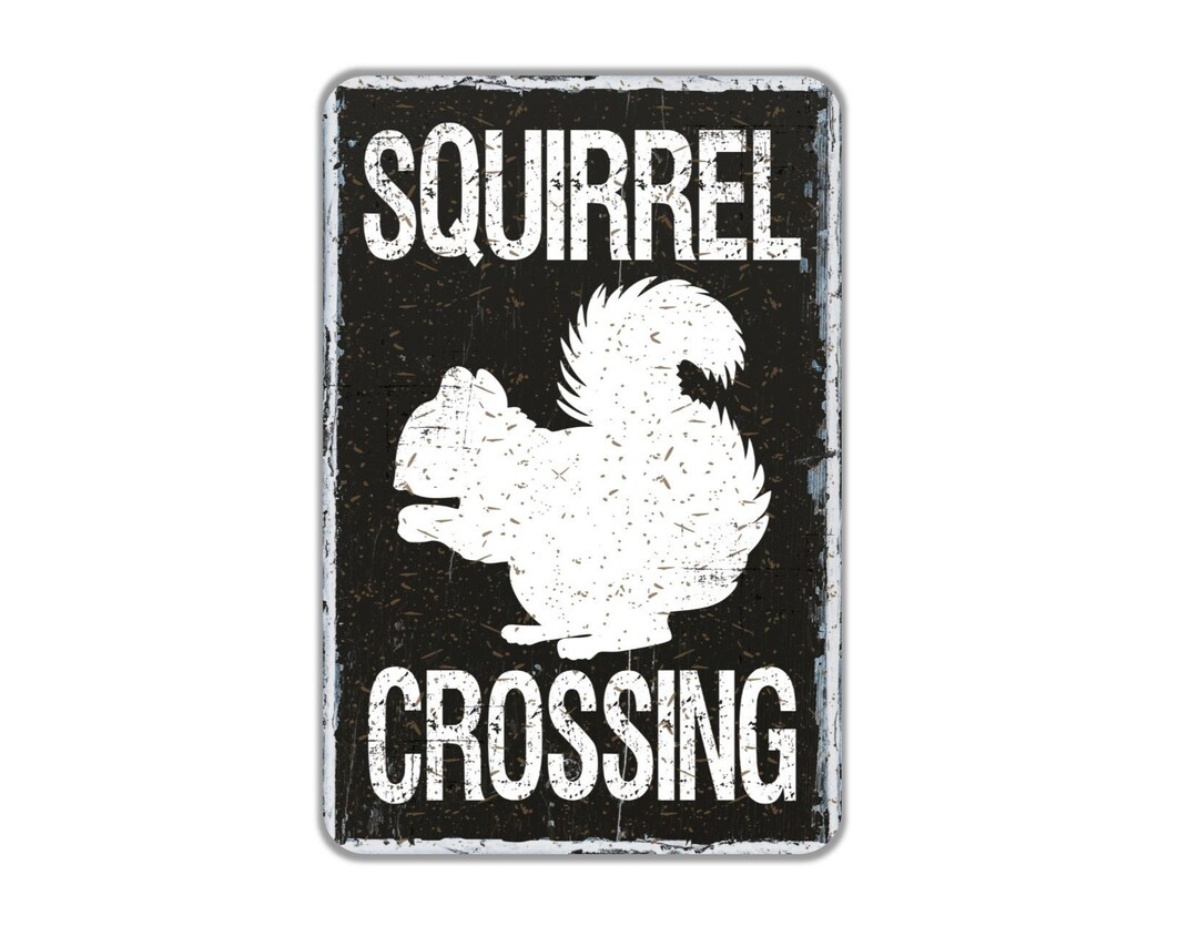 Vintage Style Squirrel Crossing Farm Metal Sign, Contemporary Modern ...