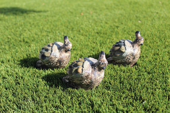 Cement Quail Gardenconcrete Baby Quailsset of Baby | Etsy