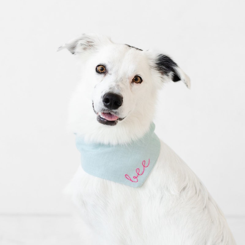 Custom Dog Bandana - Etsy