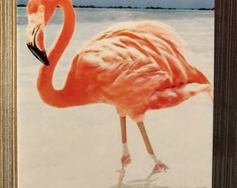 Flamingo Postcard - Etsy
