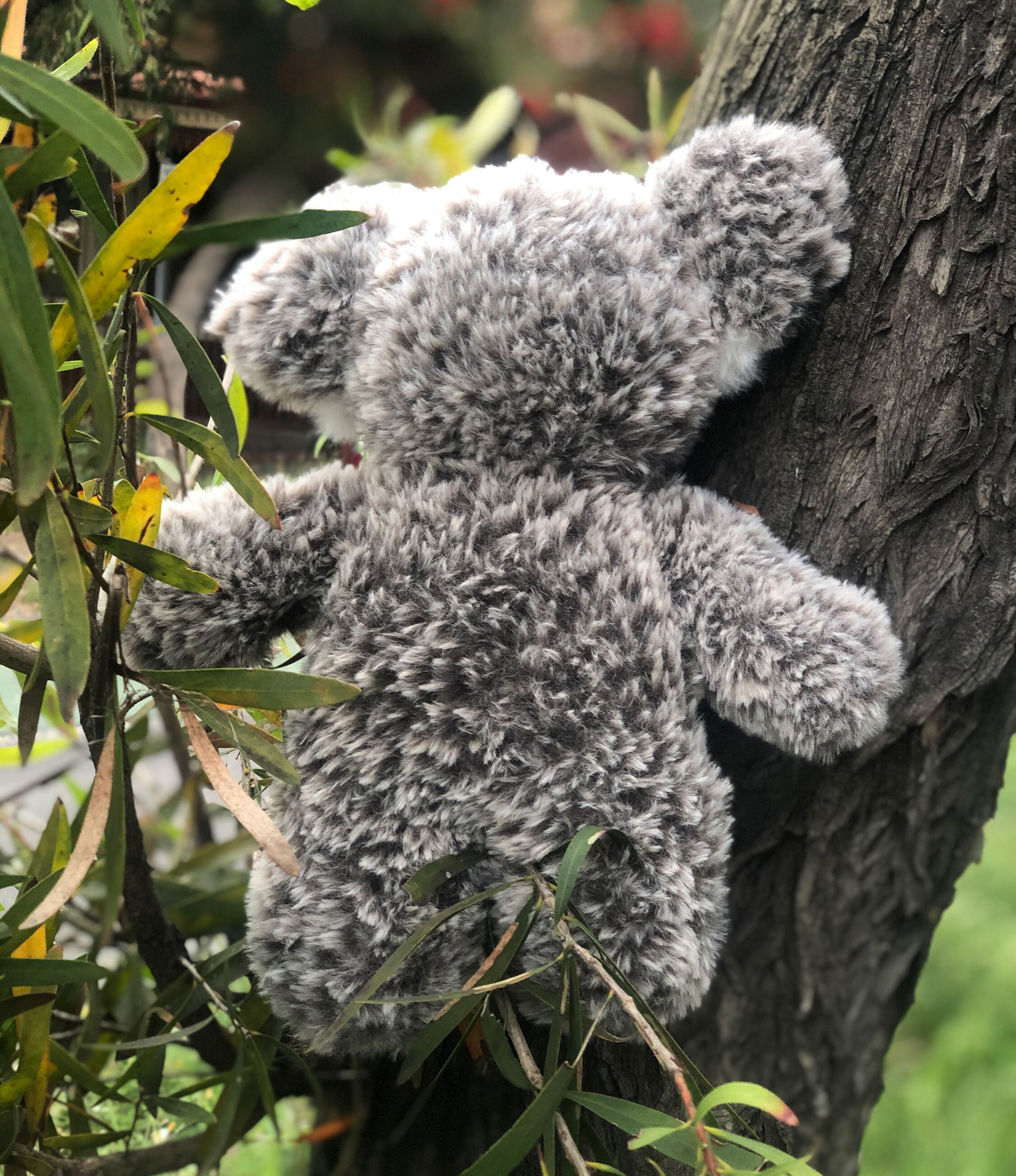 Kati Koala Amigurumi crochet pattern-plush koala-amigurumi | Etsy