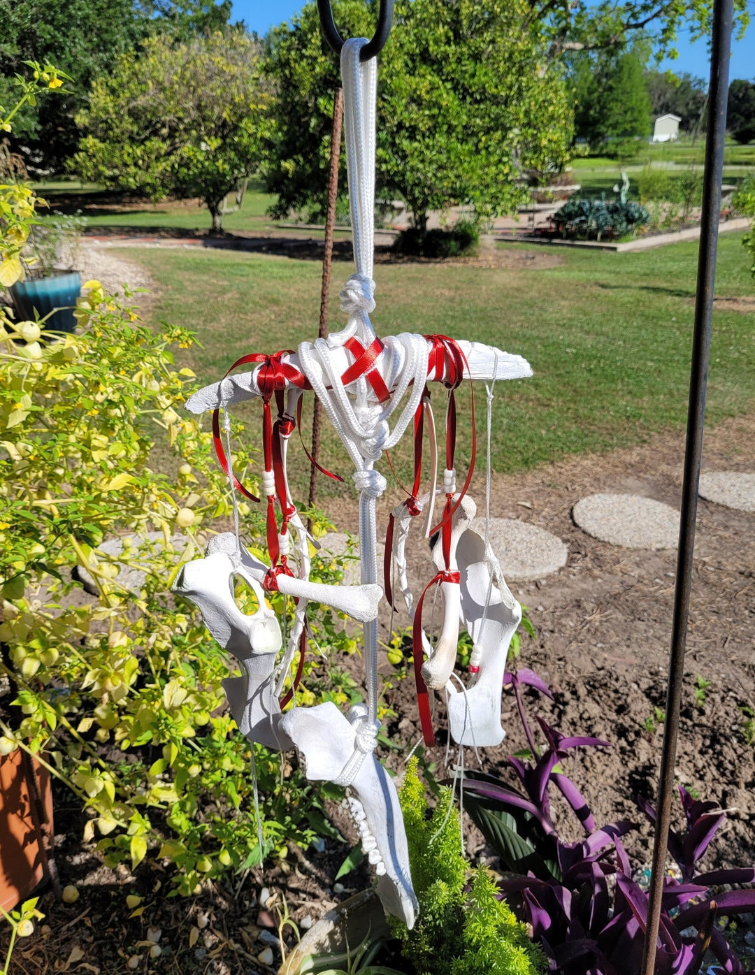 29 Inch Real Bone Chimes Bone Windchimes Made of Wild Hog and Alligator ...