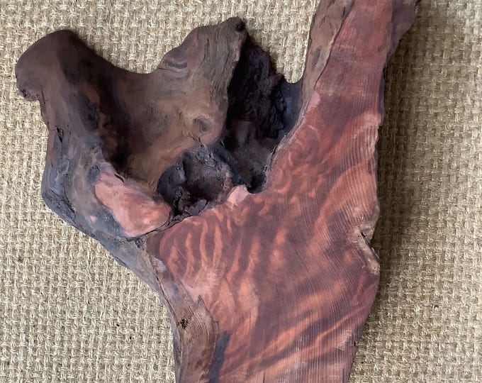 Redwood Curly Burl Live Edge Display Slab 16x11x3 Dampened for Finished ...