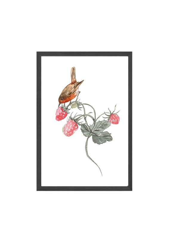 Watercolour Robin Print Botanical Robin Wall Art Bird Art | Etsy