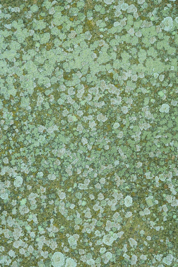 Photograph of a natural stone texture. High resolution digital | Etsy