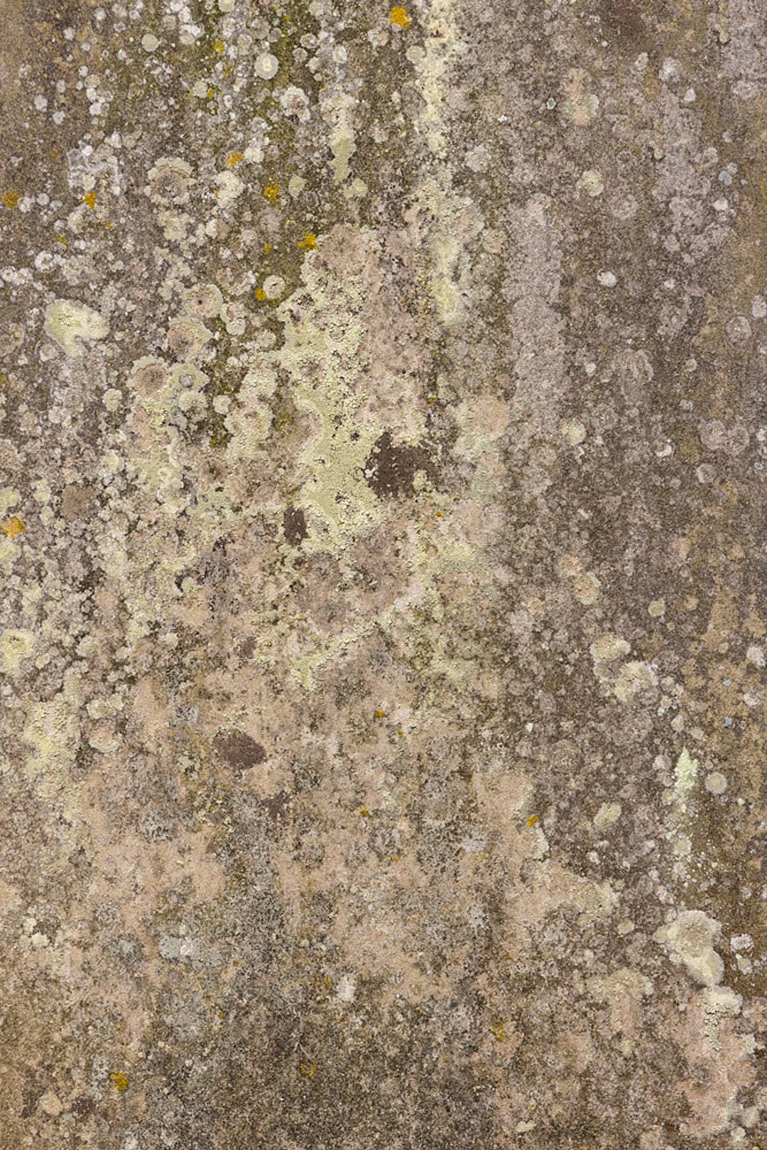 Photograph of a Natural Stone Texture With Lichen. High Resolution ...