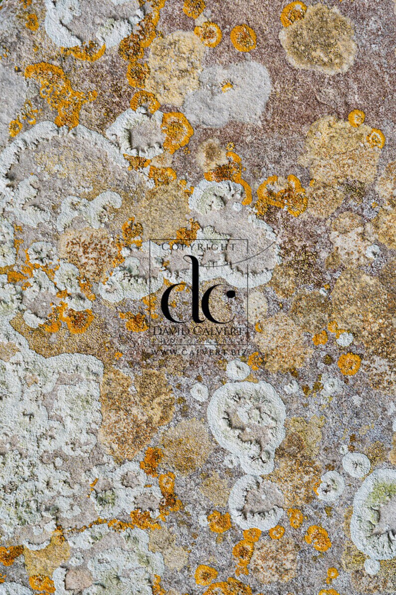 Photograph of a Natural Stone Texture. High Resolution Digital ...