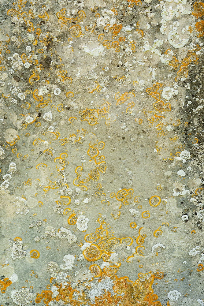 Photograph of a Natural Stone Texture. High Resolution Digital ...