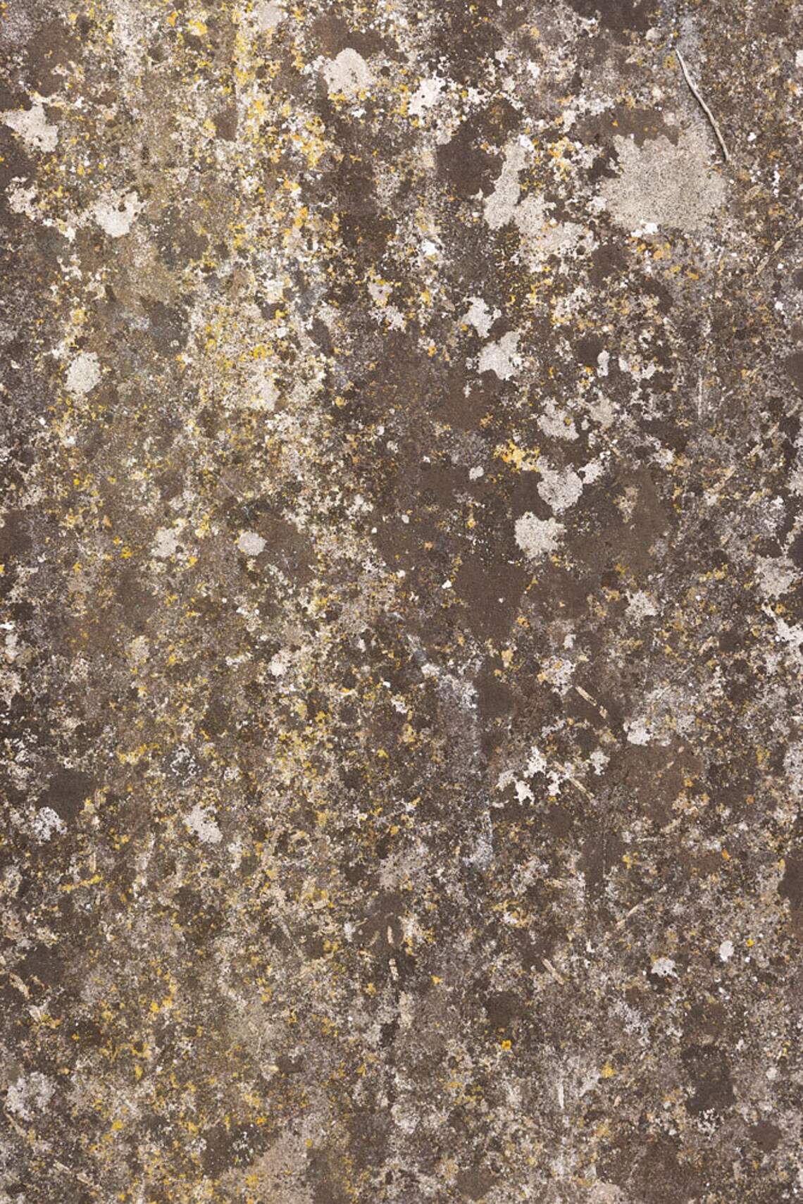 Natural Stone Texture. High Resolution Digital Background, Photoshop ...