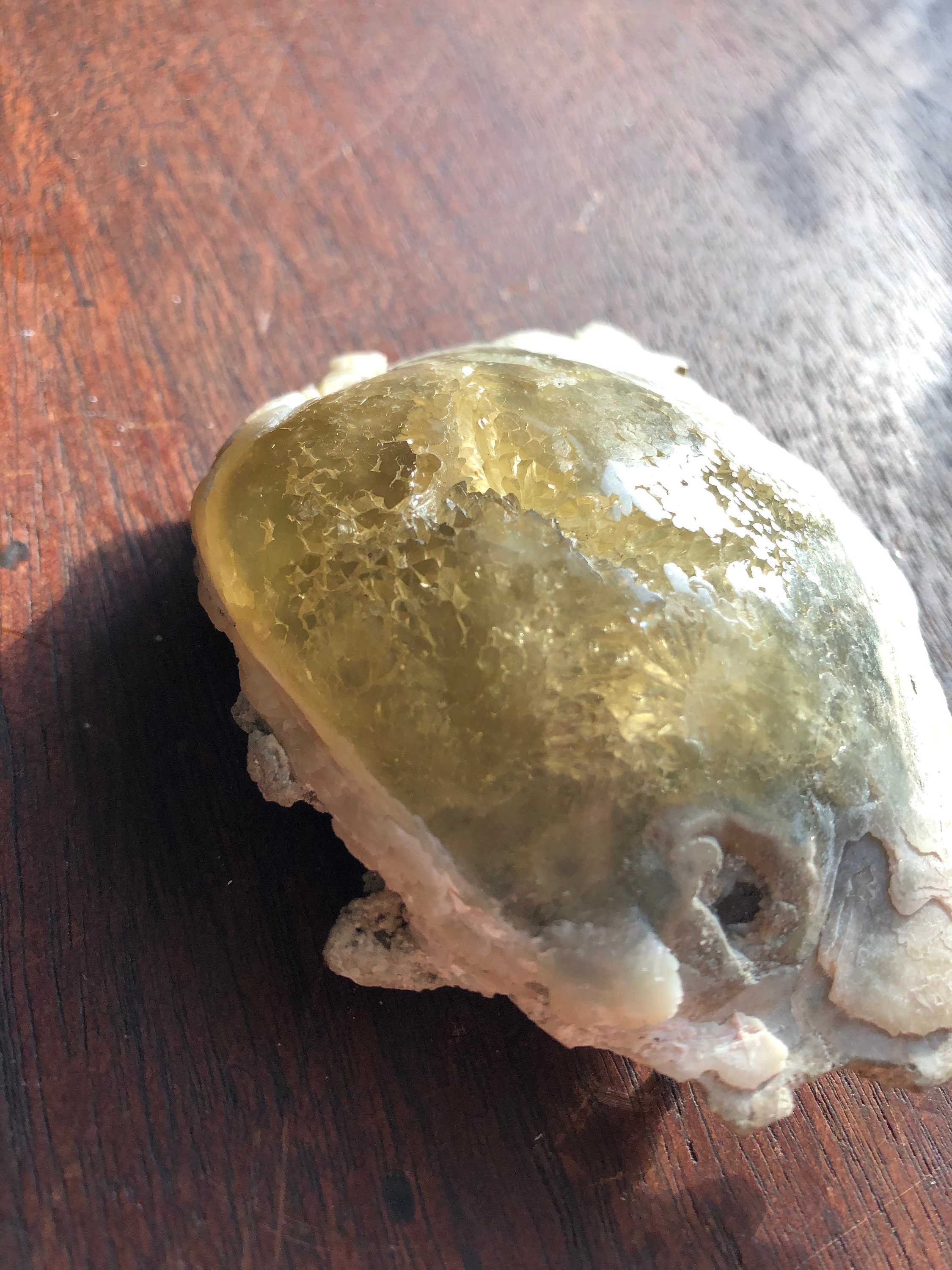 Honey Calcite in Clamshell - Etsy