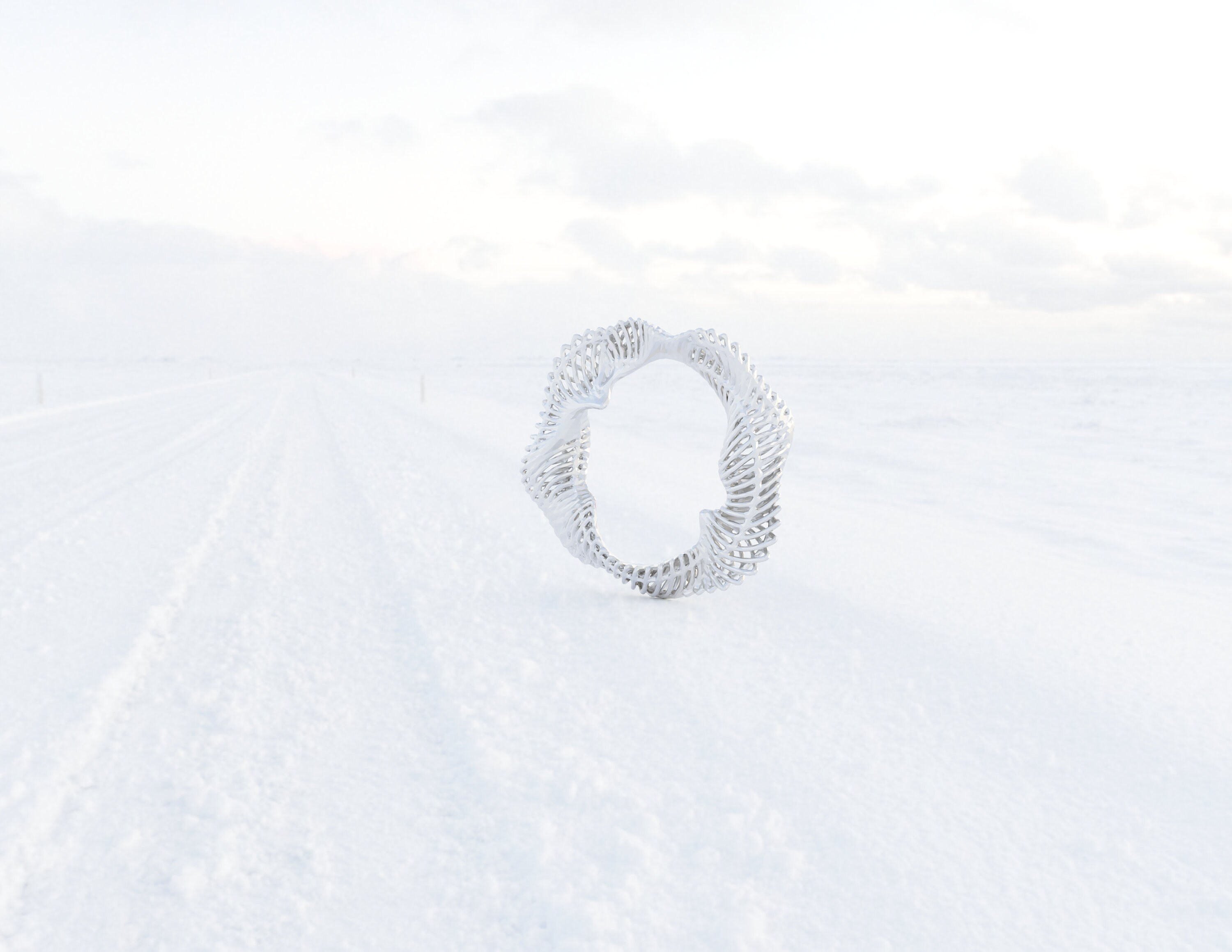 3D Printed Titanium Ring, Rib Natural Structure, Silver Matte Ring ...