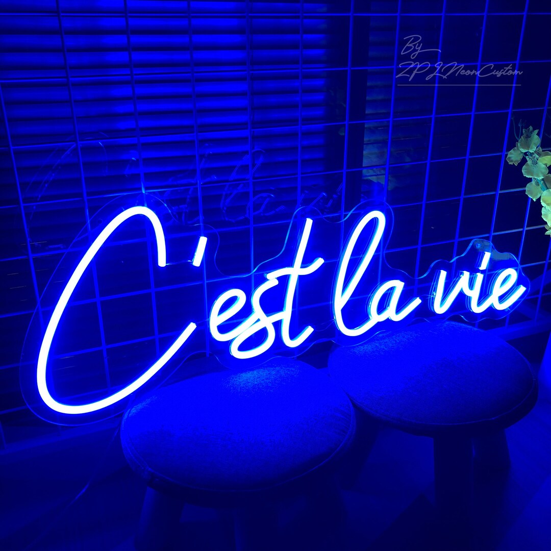 c-est-la-vie-this-is-life-in-french-neon-sign-neon-etsy-espa-a