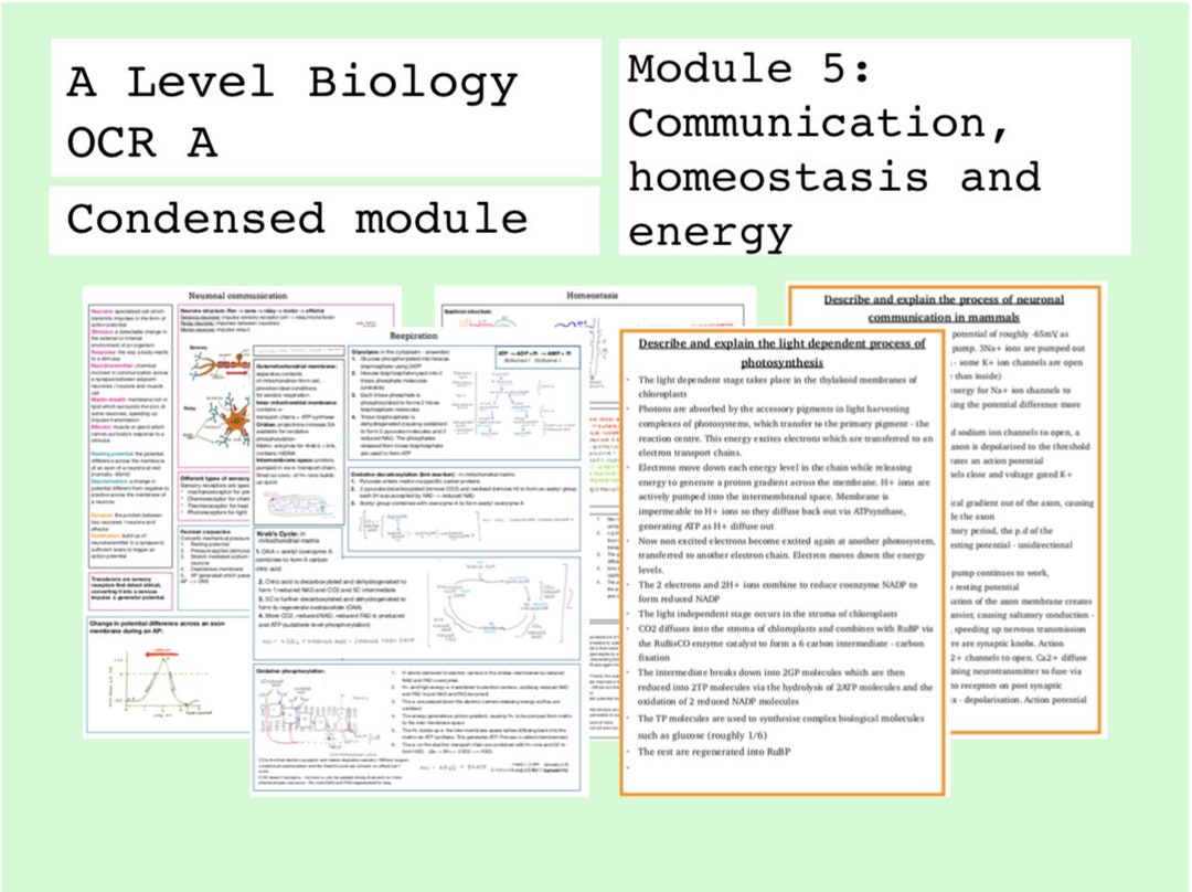 A Level Biology Module 5 Revision OCR A - Etsy