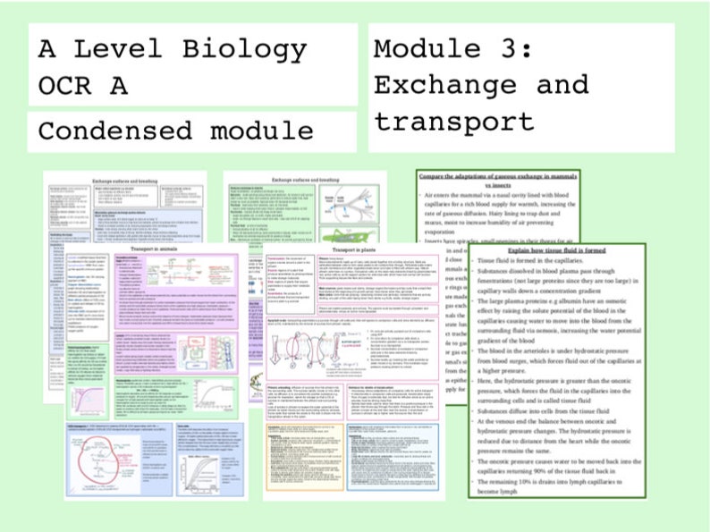 A Level Biology Module 3 Revision Resource OCR A - Etsy