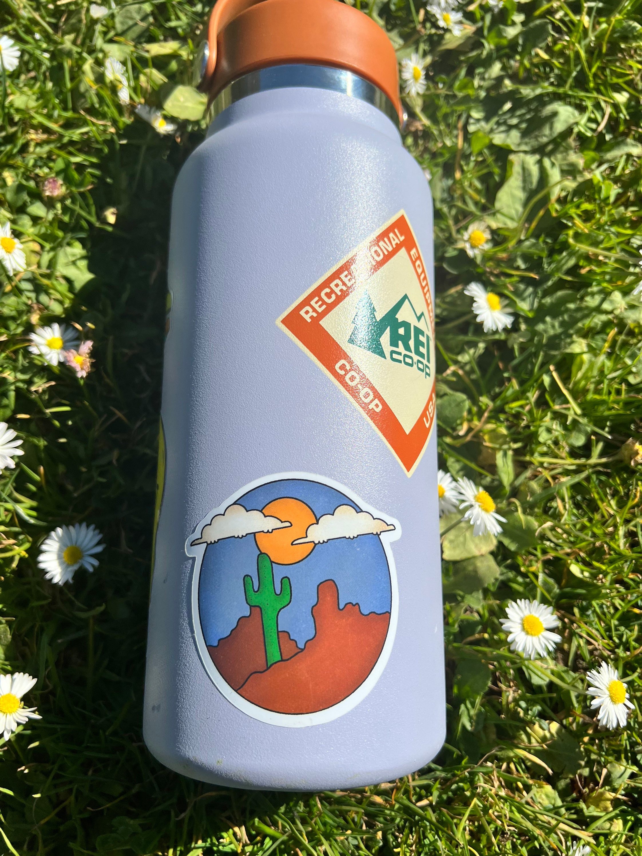 Desert Sticker by Jelly Studio Co. - Etsy